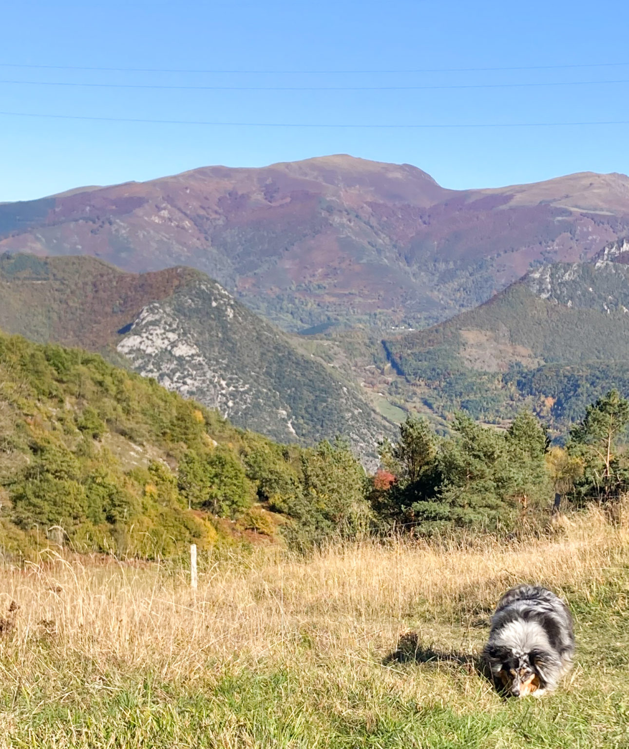 Sitemapcdatahttpsmodeinf Inetcomcepes Ariege 2022